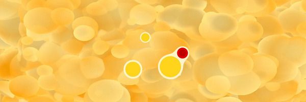INIGEM | Instituto de Inmunología, Genética y Metabolismo (Univ